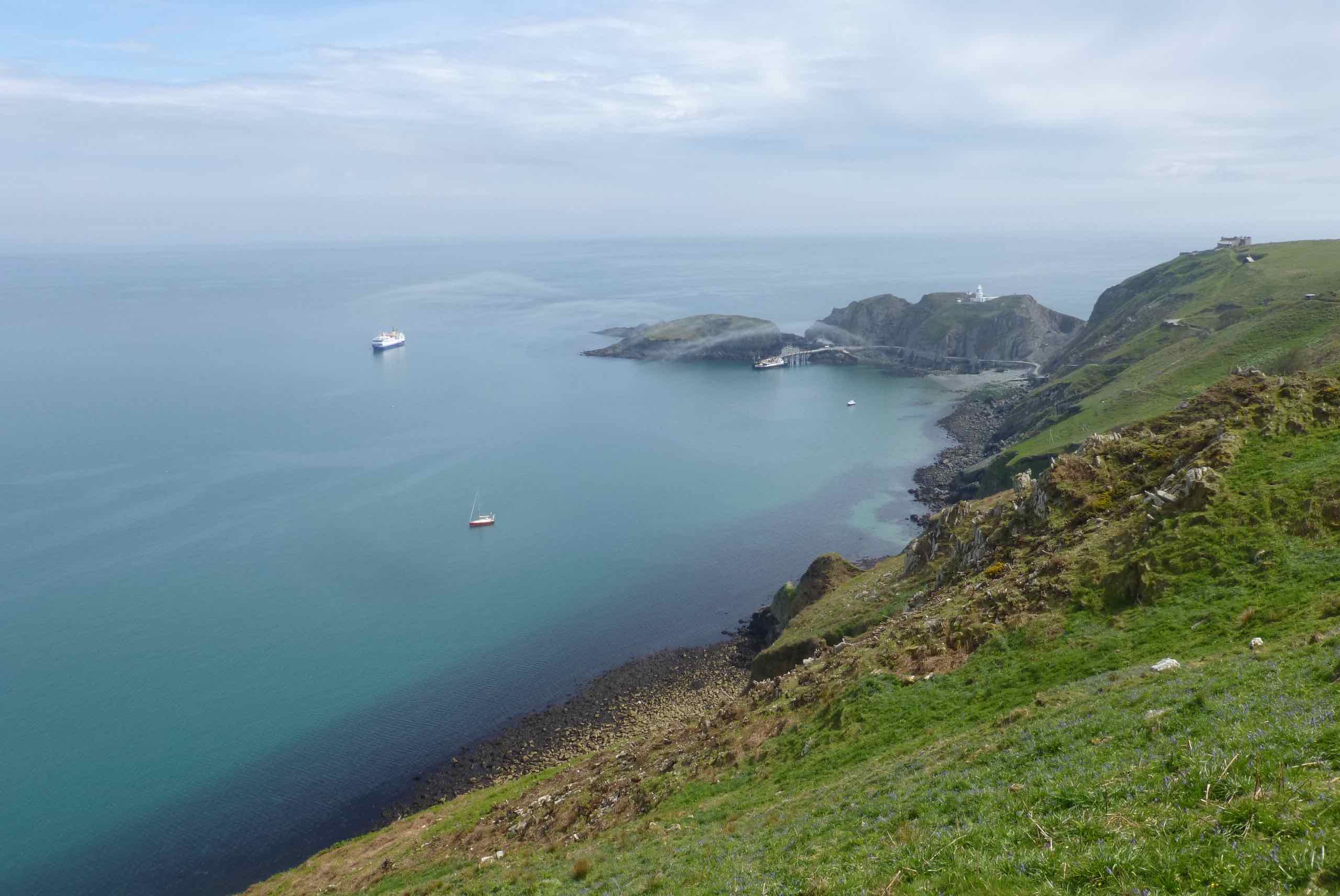 Lundy Island – Red Roo