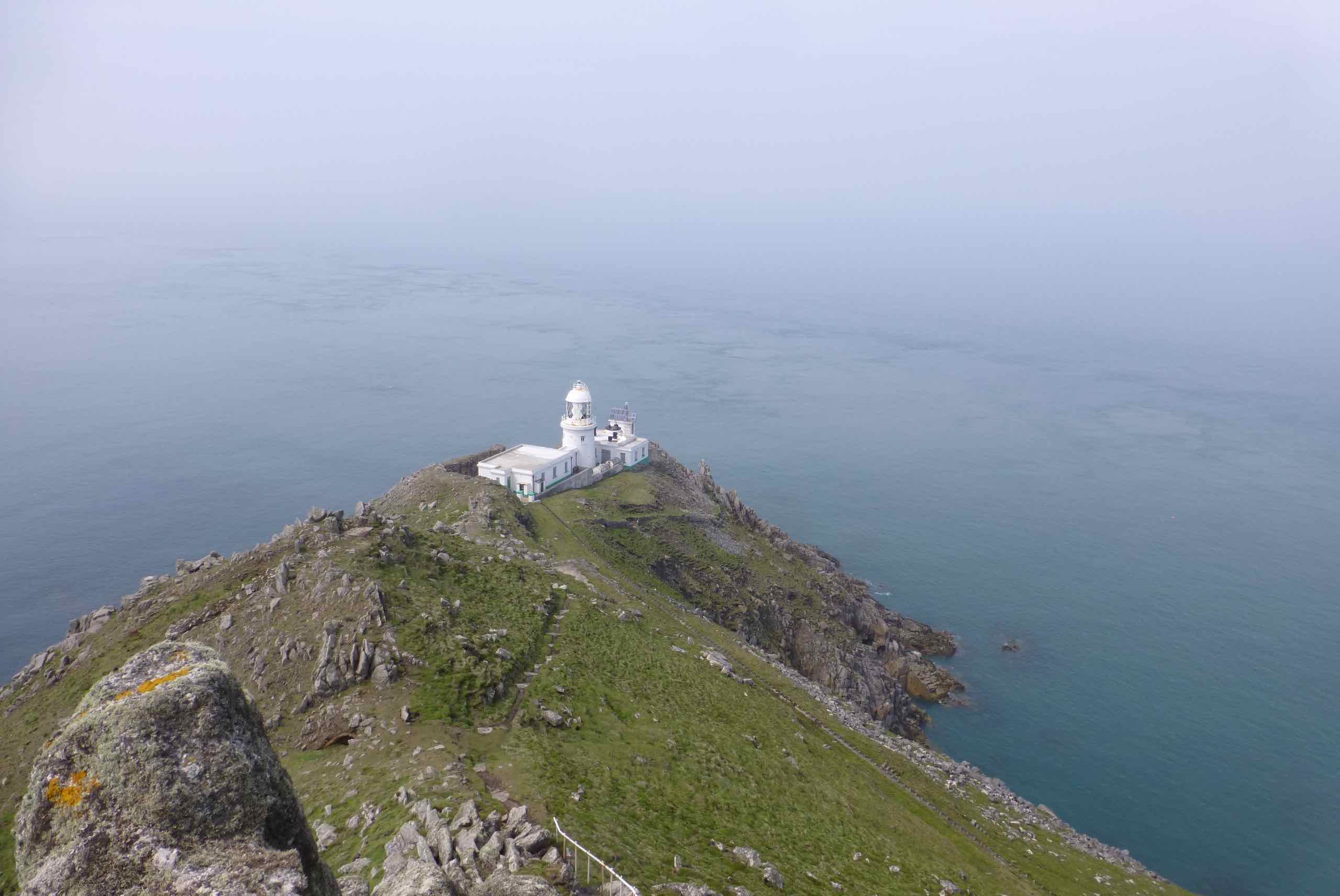 Lundy Island – Red Roo